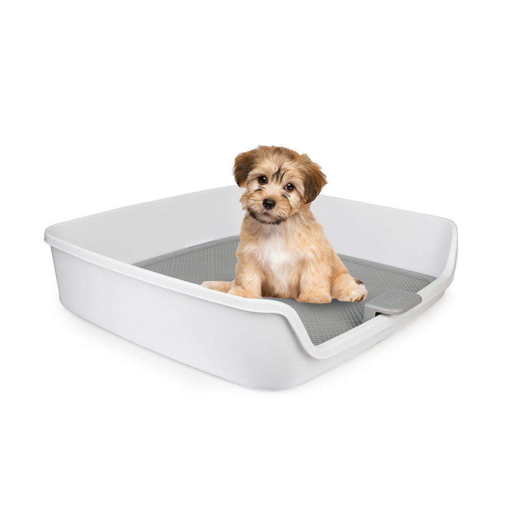 Pee pad holder store